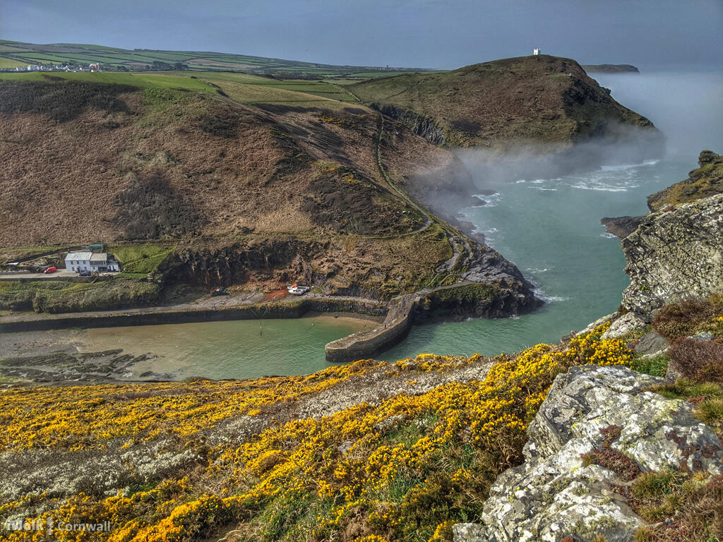 Boscastle Headlands circular walk