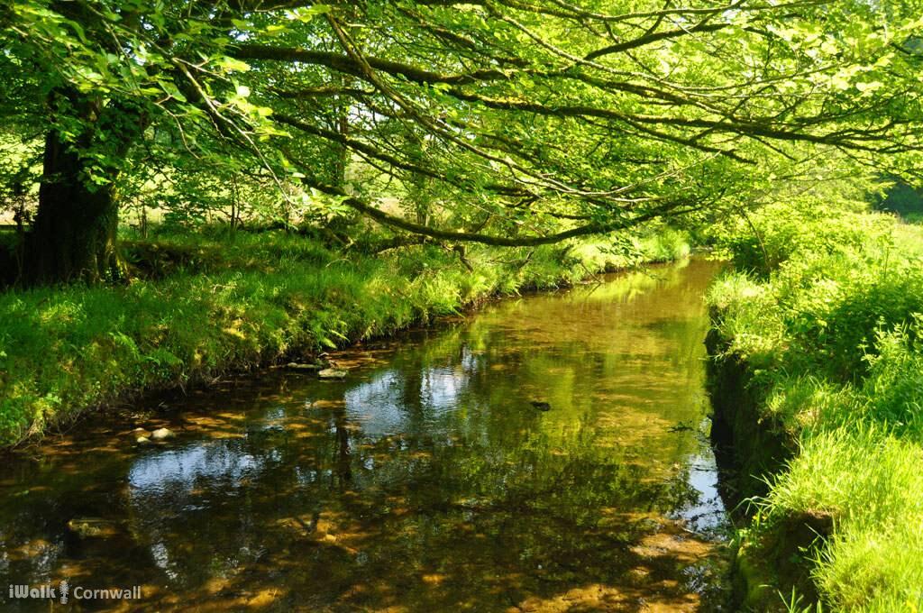 Circular walks beside the River Camel