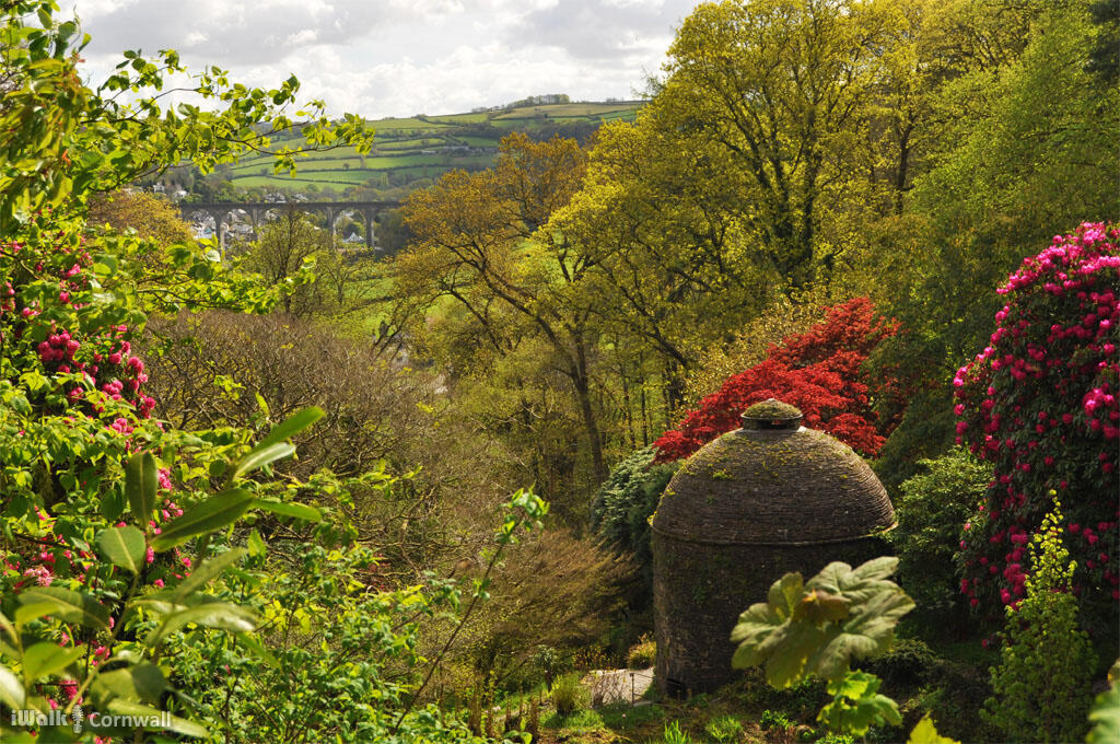 Cotehele to Metherell circular walk