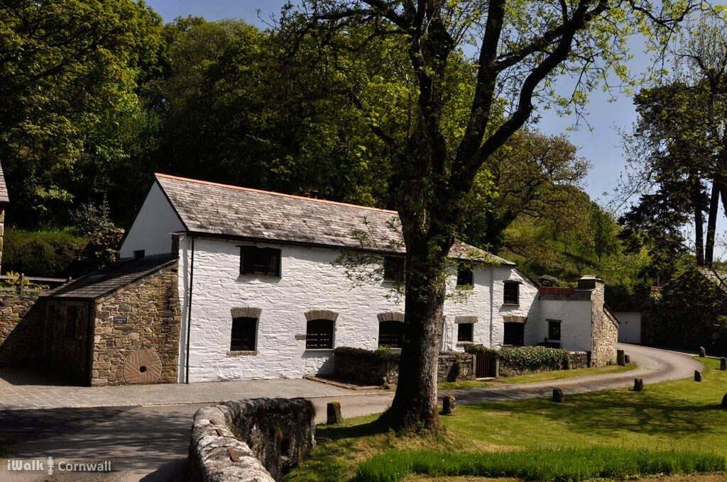 Polyphant circular walk