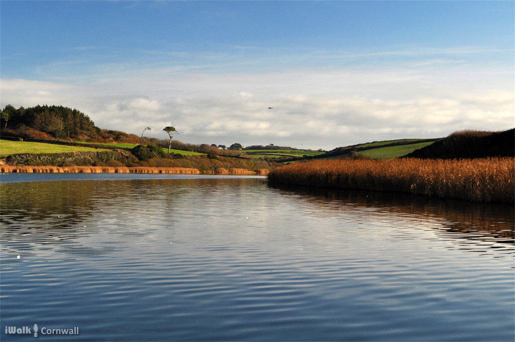 Circular walks around Helston