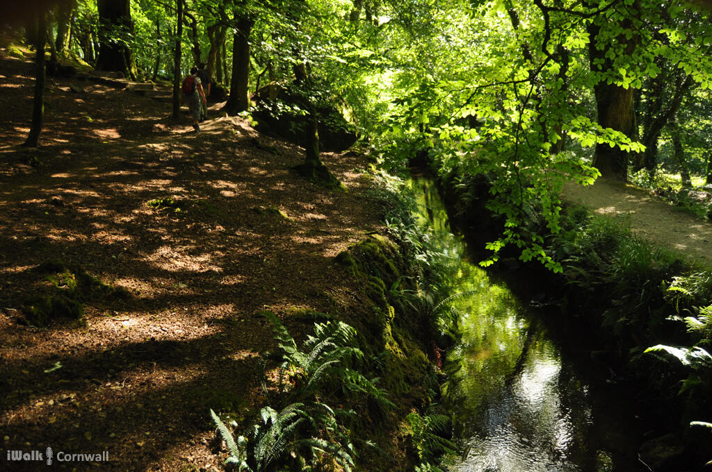 Walks in August