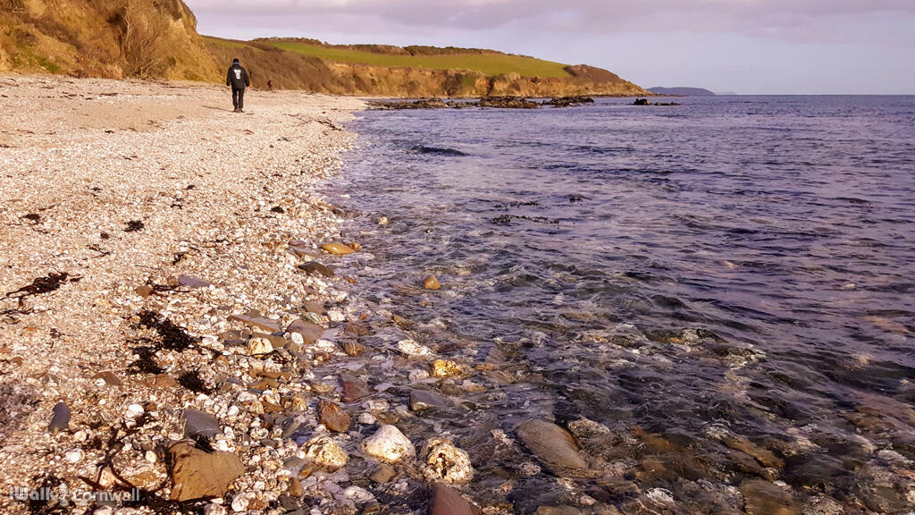 Prisk Cove - circular walks
