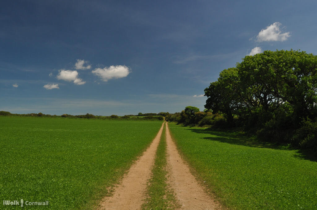 Circular walk from Lesnewth to Tresparrett