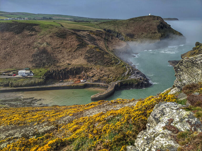 Boscastle Headlands circular walk