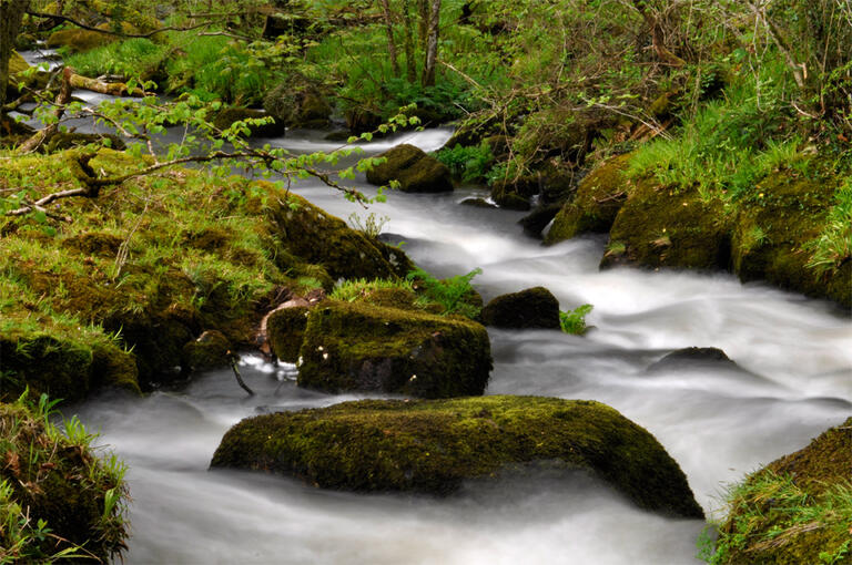 Riverside walks in Cornwall