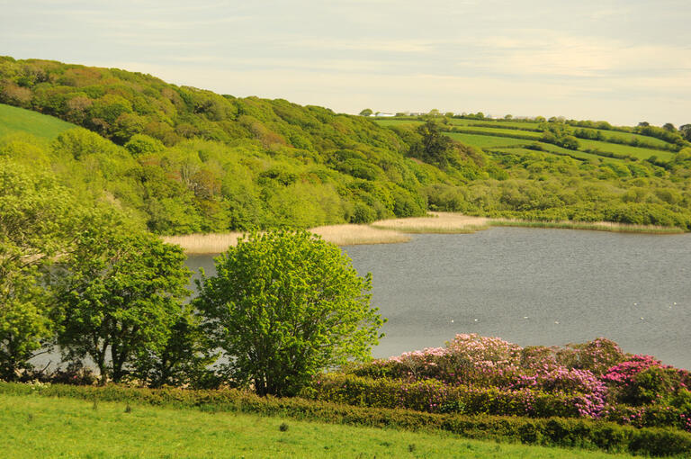 Penrose to the Loe Bar circular walk