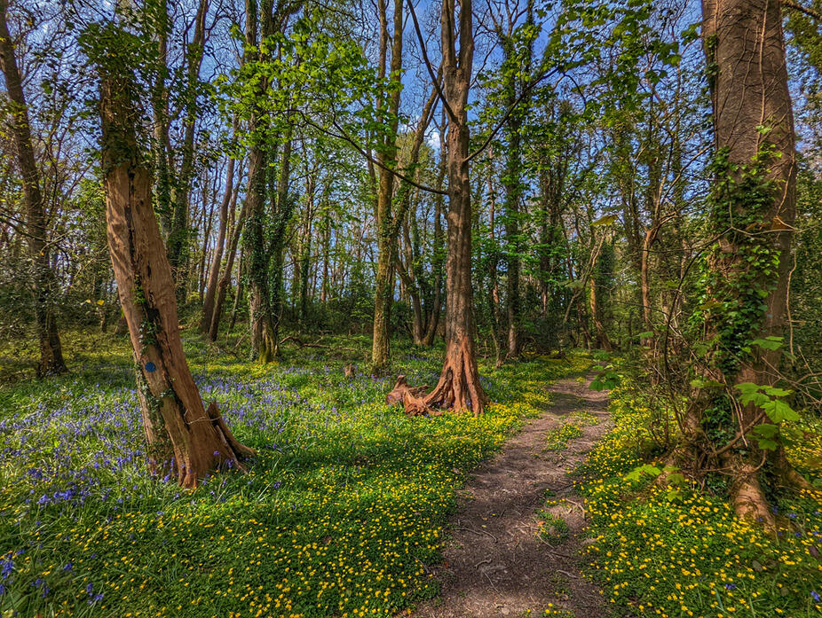 Constantine to Scott's Quay