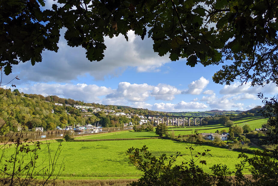 Calstock circular walk