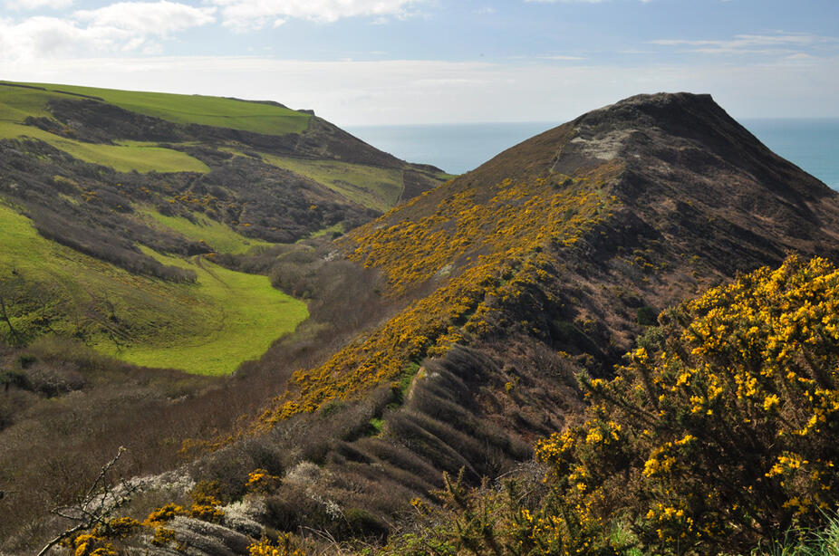 Circular walk from St Gennys Church to Dizzard near Crackington Haven
