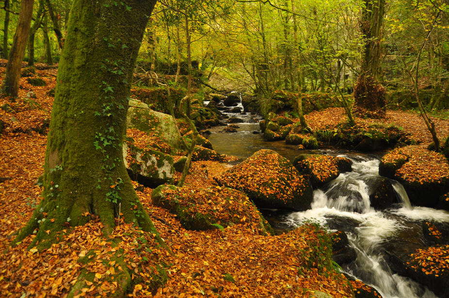 Walks in Cornwall with nice autumn colours