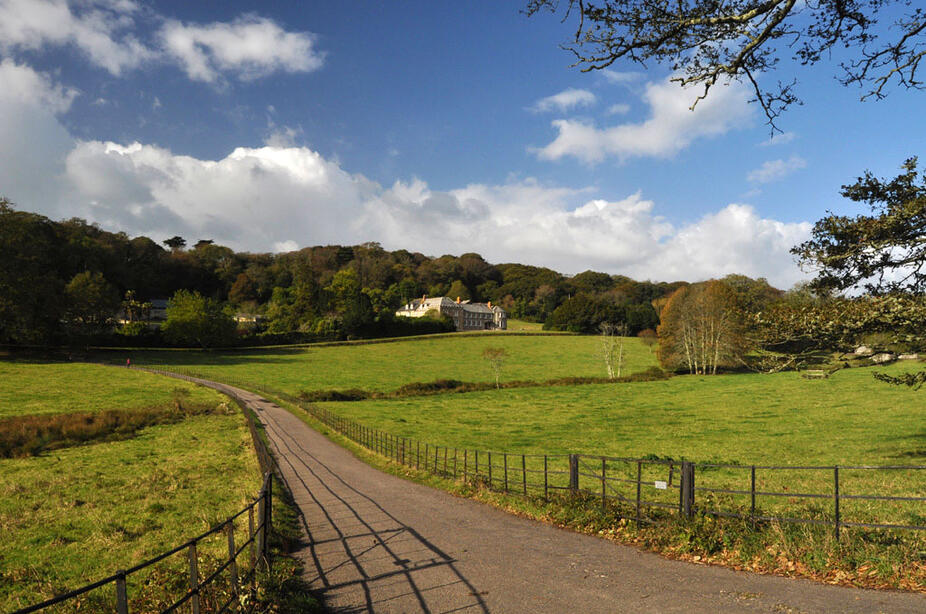 The Loe circular walk