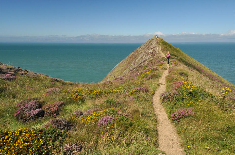 Morwenstow and Tidna Valley circular walk