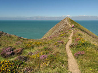 iWalk Cornwall - quality circular walks in Cornwall