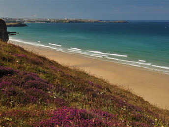 iWalk Cornwall - quality circular walks in Cornwall