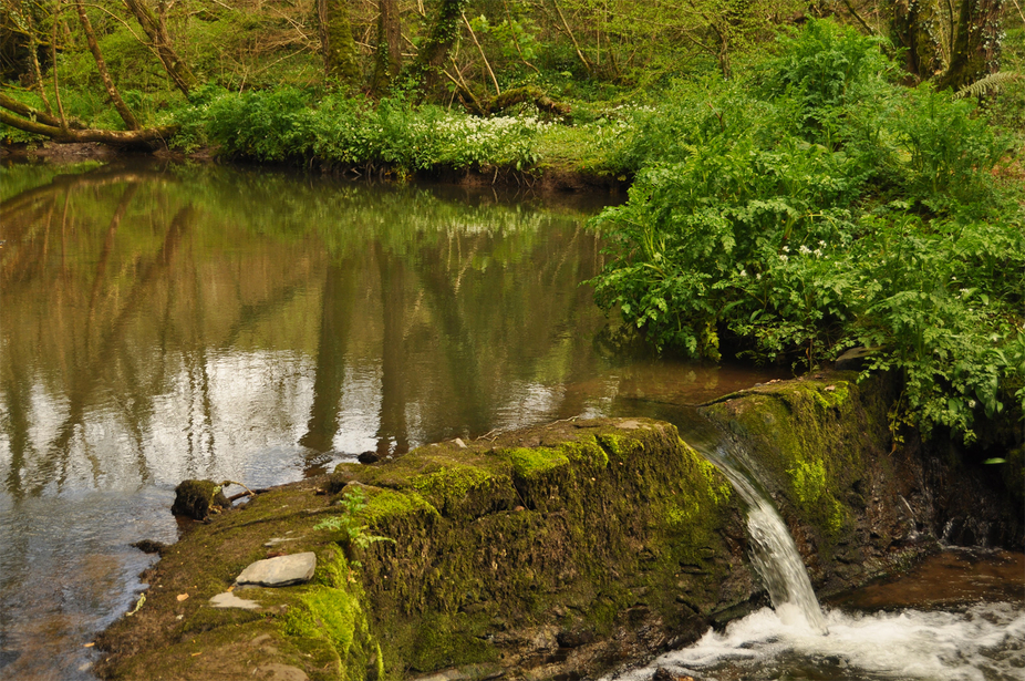 Circular walks beside the River Allen
